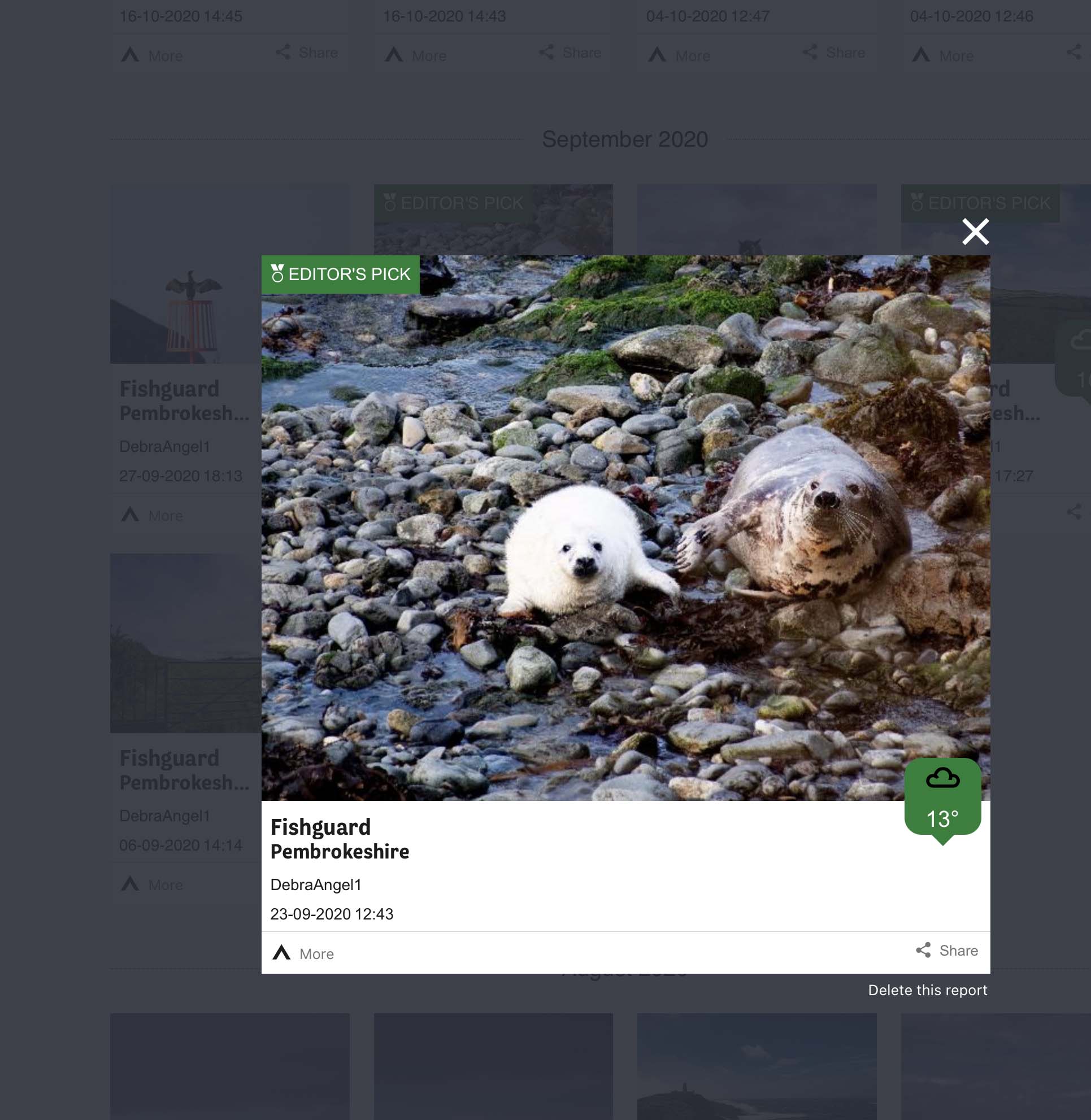 Debra Angel Photography – Freelance commercial photographer Commercial ...