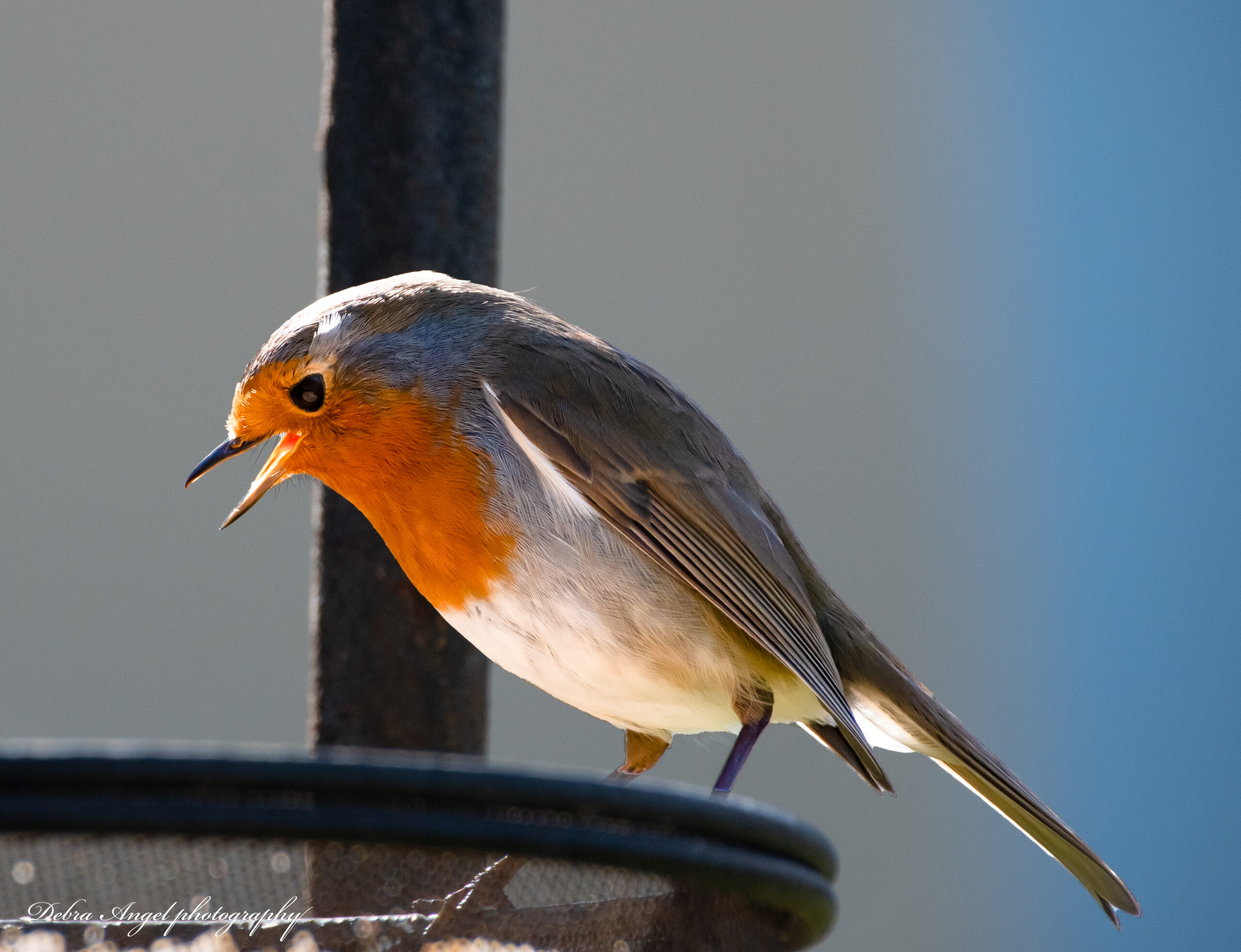 Debra Angel Photography – Freelance commercial photographer Commercial ...